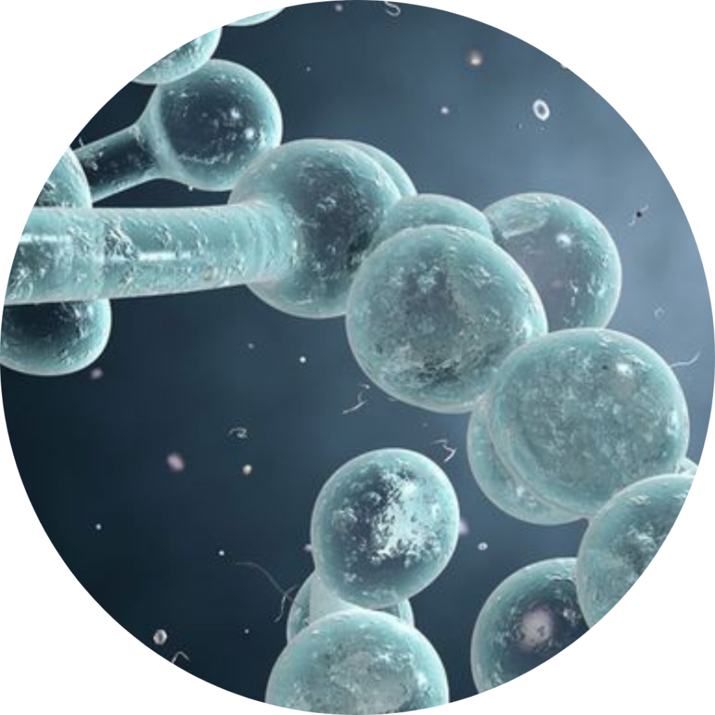 Antidandruff Product Range - Auraceutics Aesthetic Healthcare